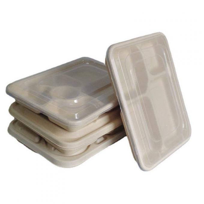 Disposable Rectangular Biodegradable Sugarcane Bagasse Trays Take Away ...